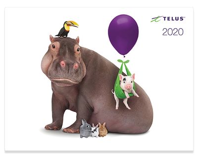TELUS Friendly Future Foundation Supporting Summerland Youth | BGC Okanagan